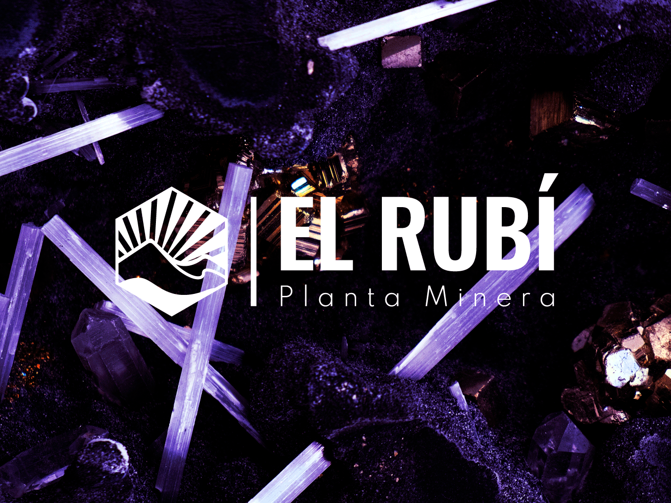 El Rubí - Planta Minera / Room Estudio Creativo